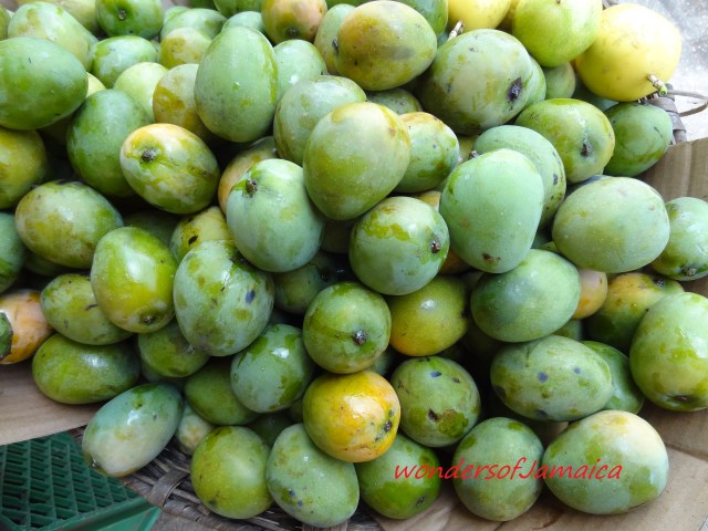 Blackie Mangoes | Wonders of Jamaica